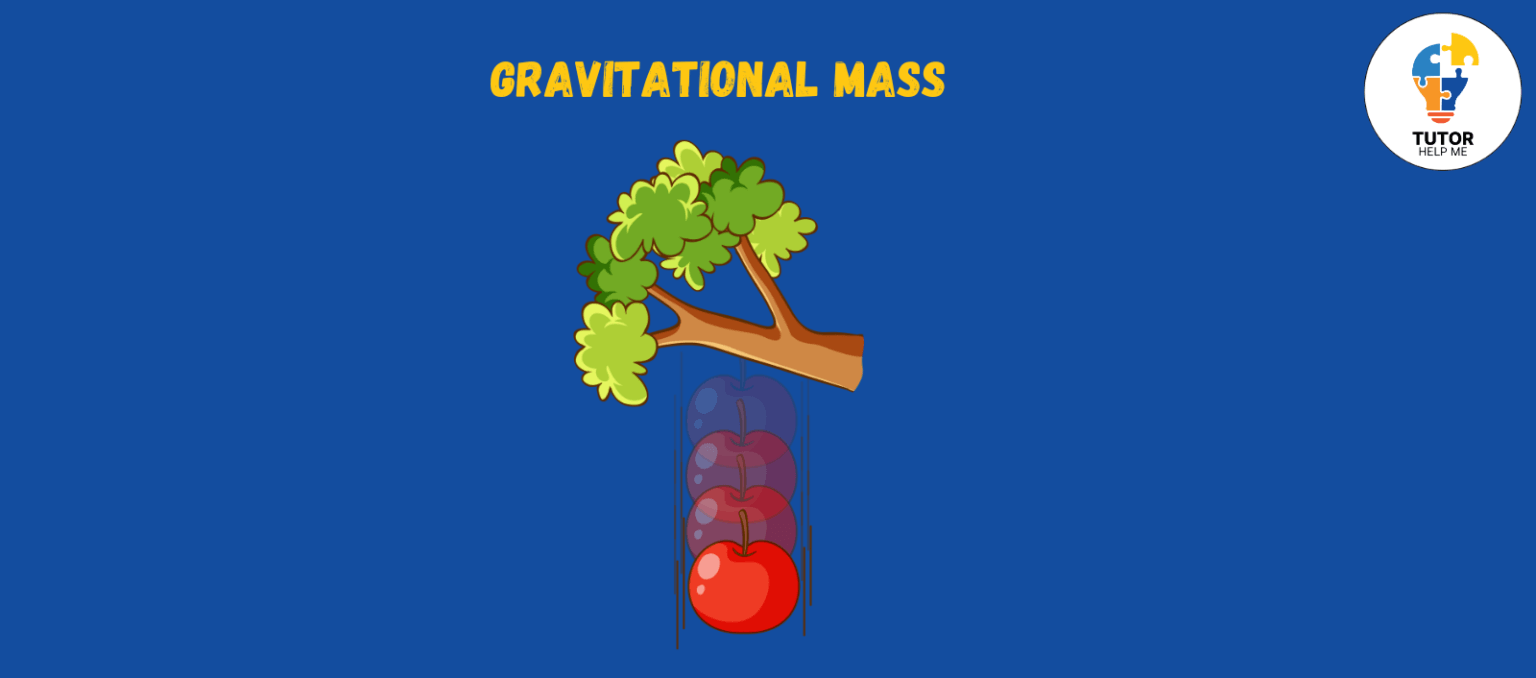 What Are the Different Types of Mass in Physics?