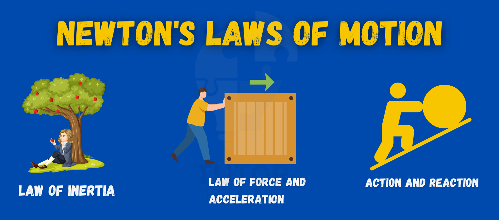 Newton s Laws Of Motion Explained With Daily Life Examples 