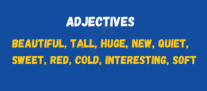 What Is an Adjective? Definition, Types & Examples