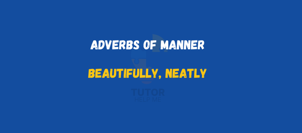 What Is an adverb? Definition and Types With Examples