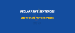 What Is a Sentence? Structure and Types of Sentences