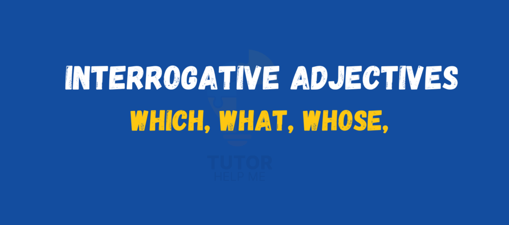 What Is an Adjective? Definition, Types & Examples