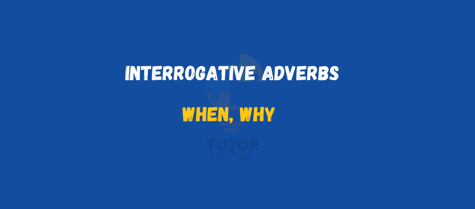 What Is an adverb? Definition and Types With Examples
