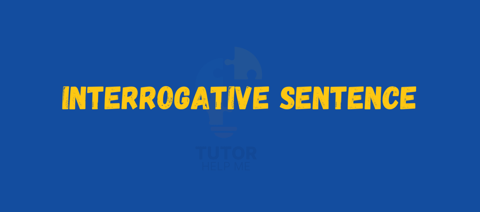 Interrogative Sentence | Uses and Types with Examples